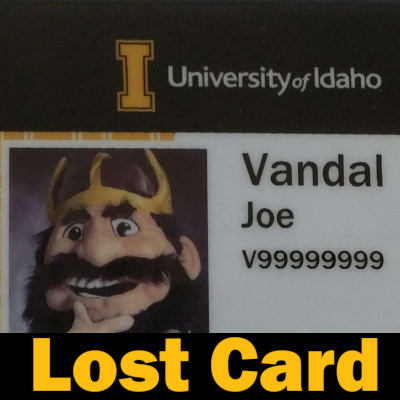 Lost Card